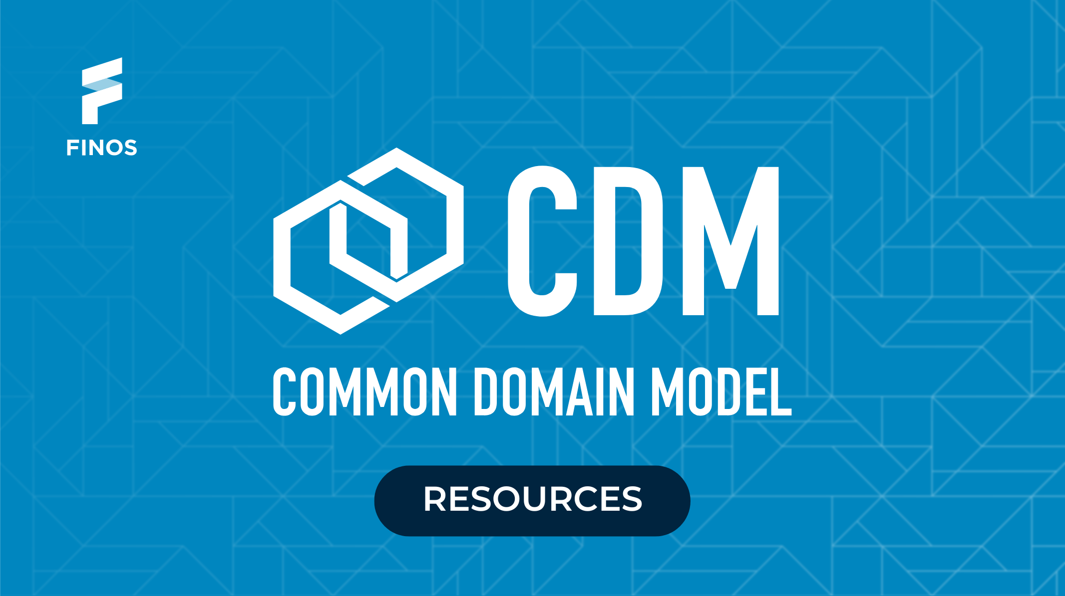 Common Domain Model (CDM) Resources